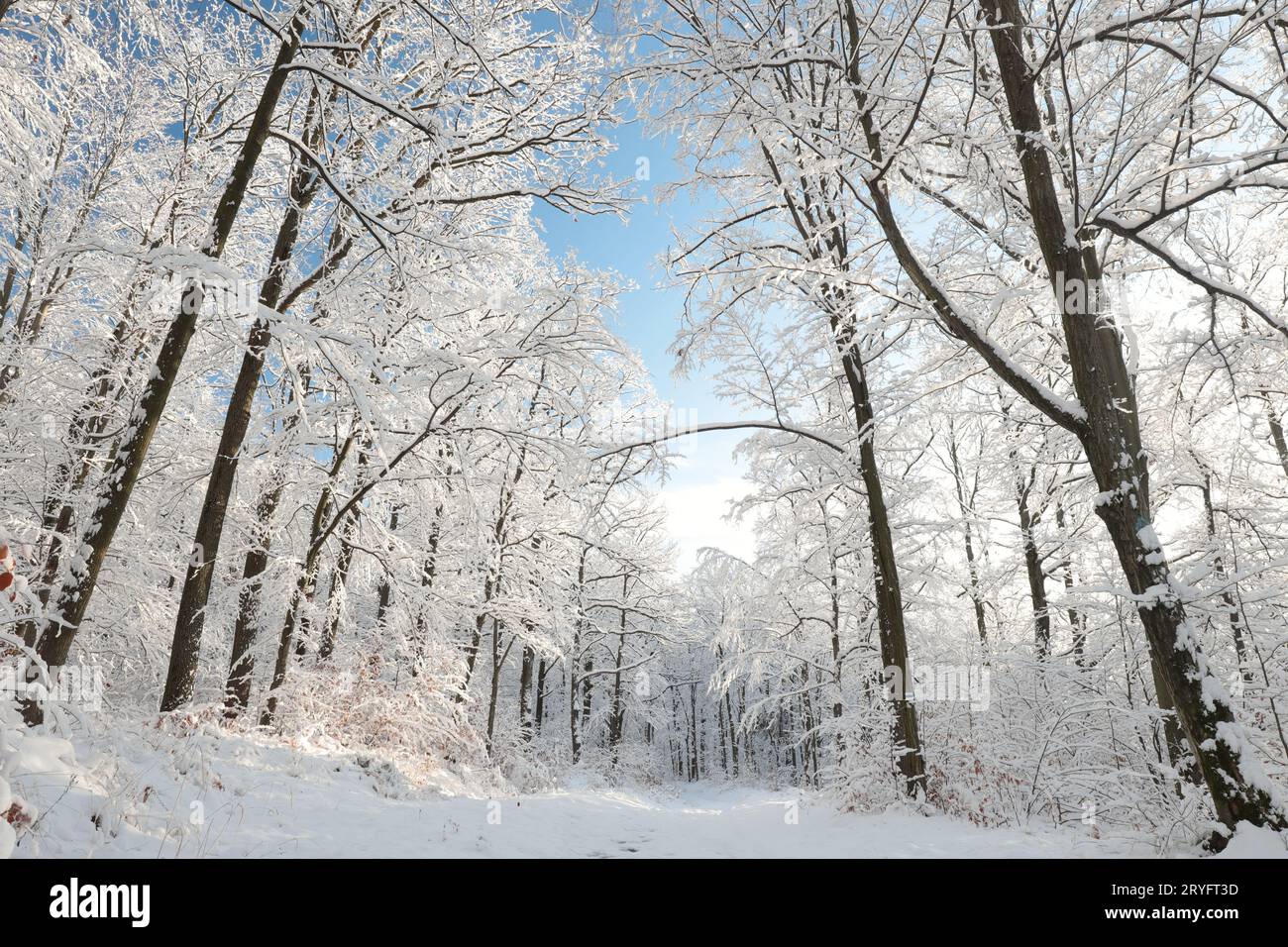 Frost trail hi-res stock photography and images - Alamy