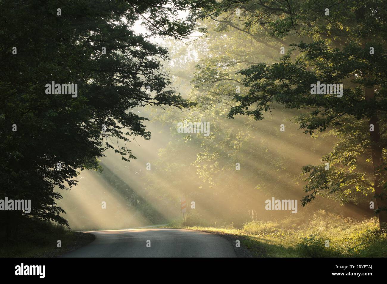 Country road at dawn Stock Photo - Alamy