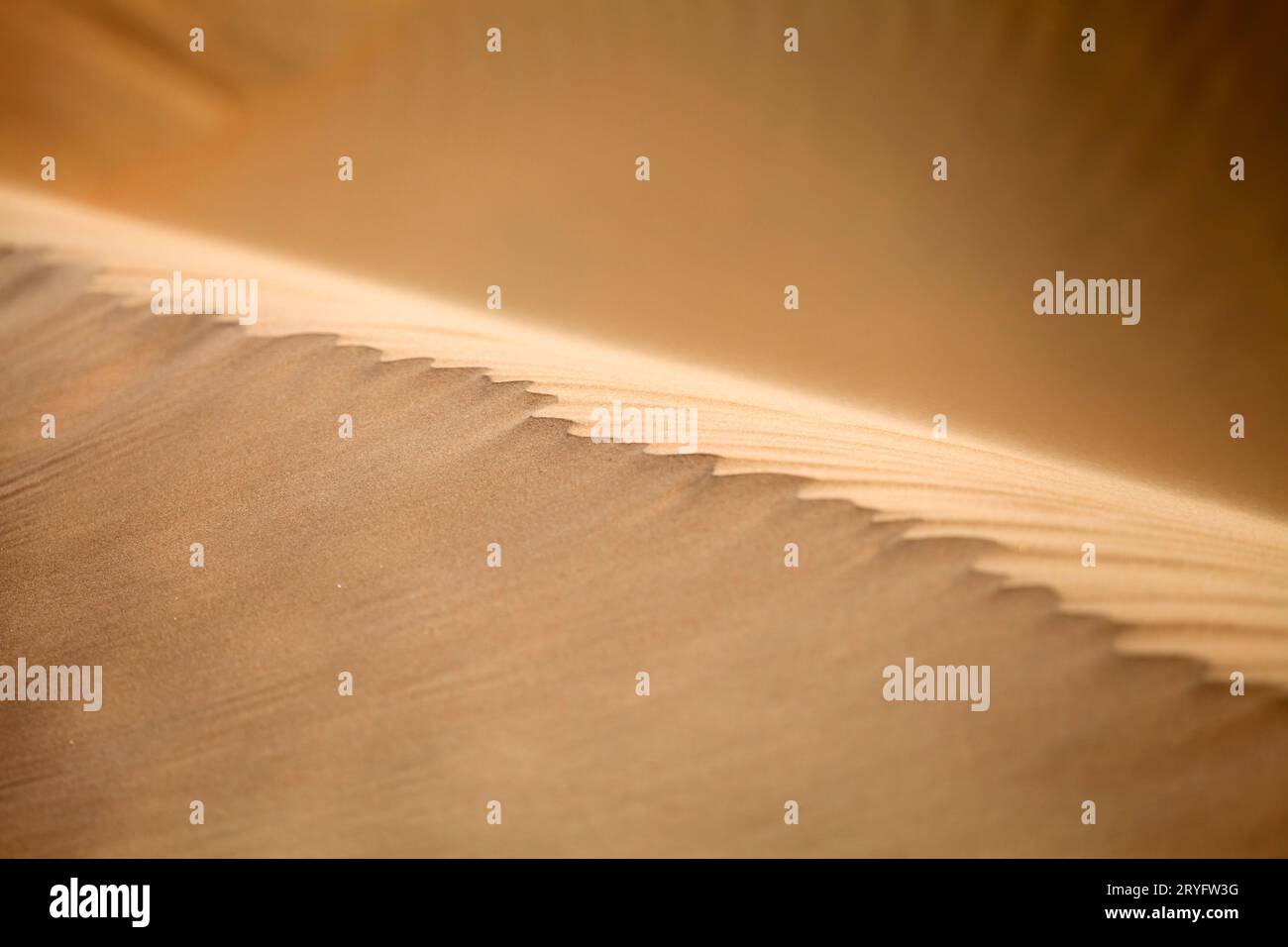 Natural pattern in desert hi-res stock photography and images - Alamy