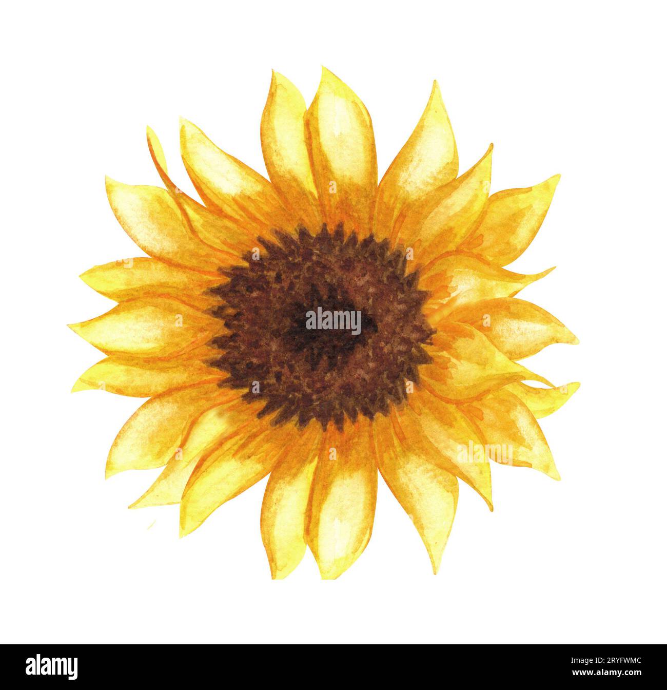 Wedding invitation card natural Cut Out Stock Images & Pictures - Alamy