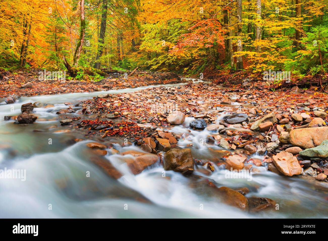Peaceful autumn river scene hi-res stock photography and images - Alamy