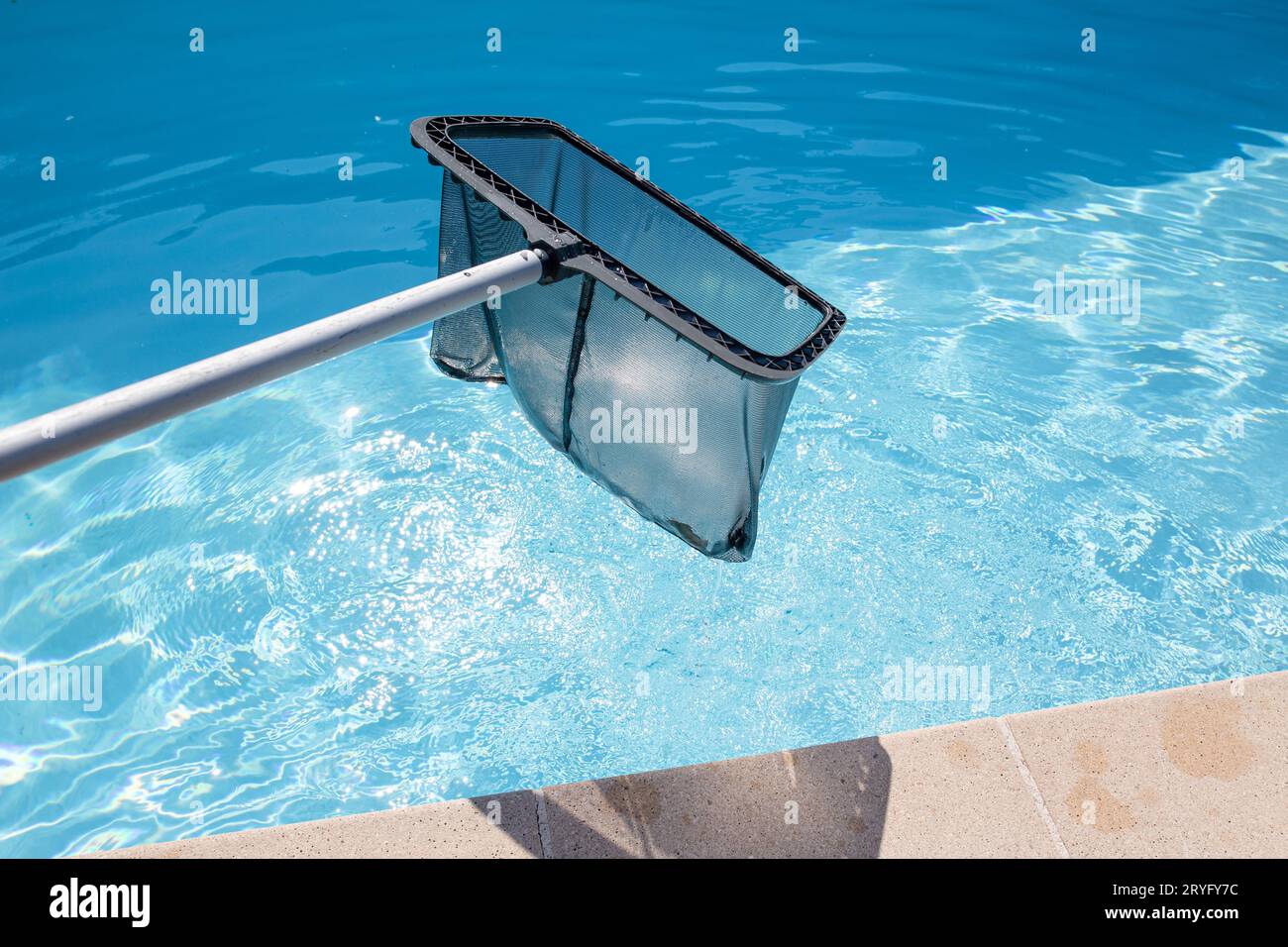 Skimmer net cleaning a swimming pool Stock Photo - Alamy