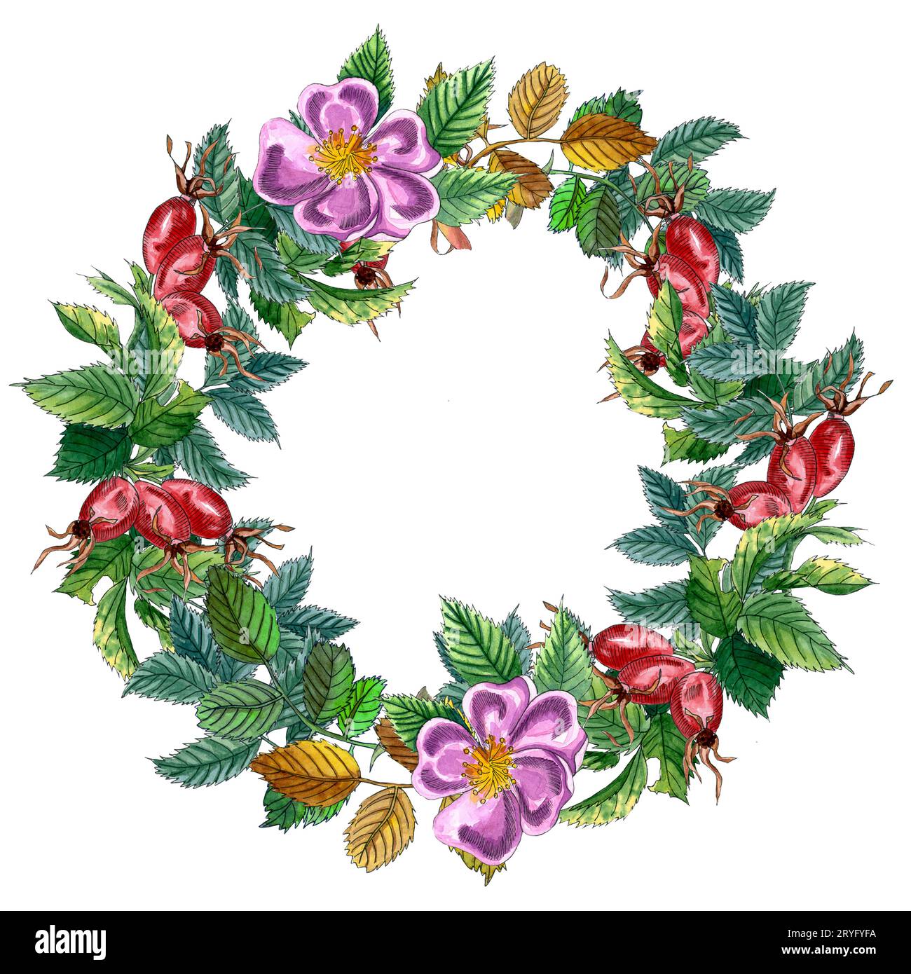 Rose wreath border floral Cut Out Stock Images & Pictures - Alamy