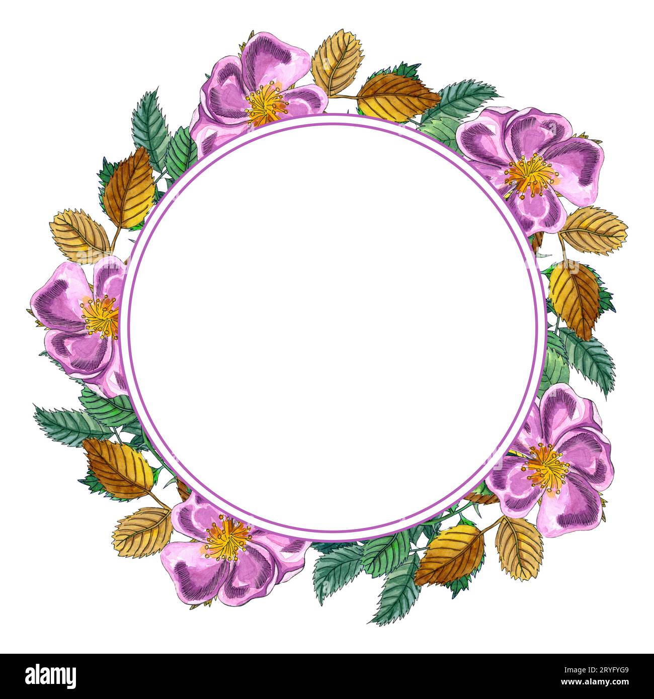 Vintage round frame rose hi-res stock photography and images - Alamy