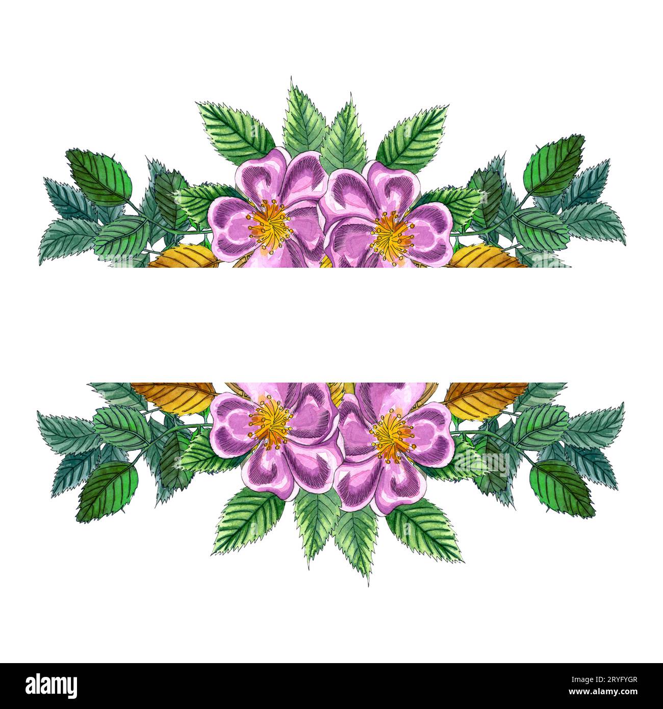 Floral wreath drawing Cut Out Stock Images & Pictures - Alamy