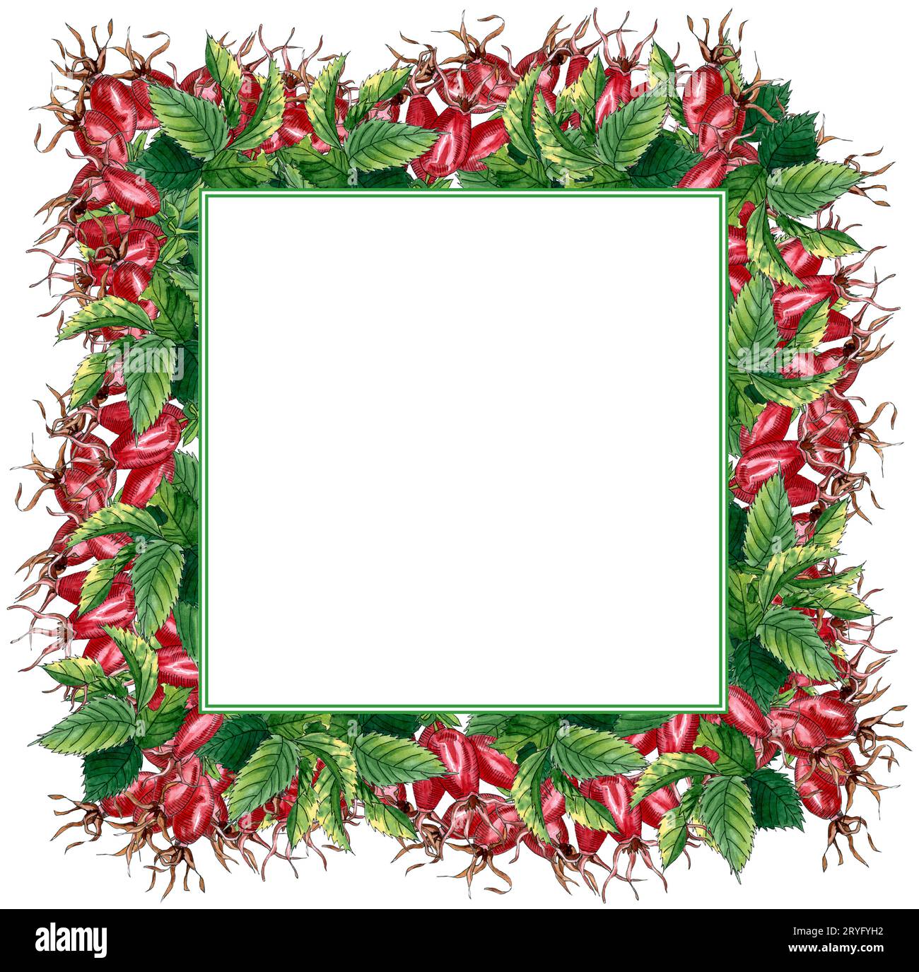 Square frame flower bud Cut Out Stock Images & Pictures - Alamy