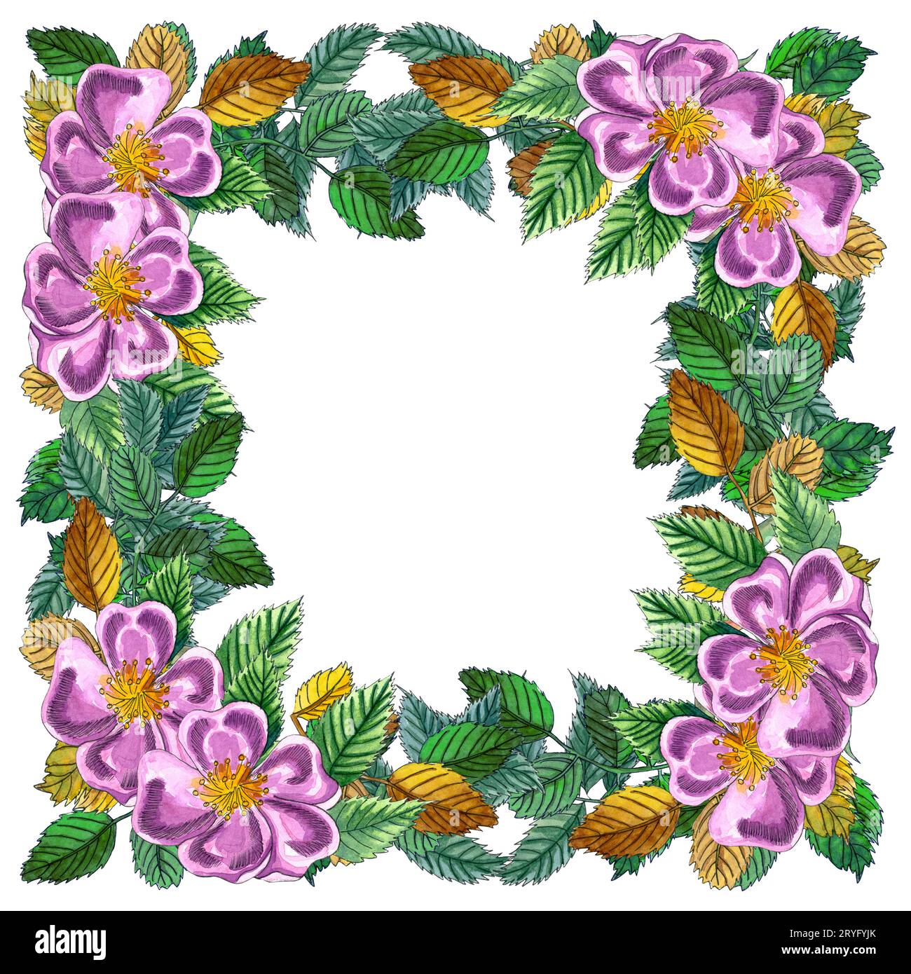 Square frame flower bud Cut Out Stock Images & Pictures - Alamy