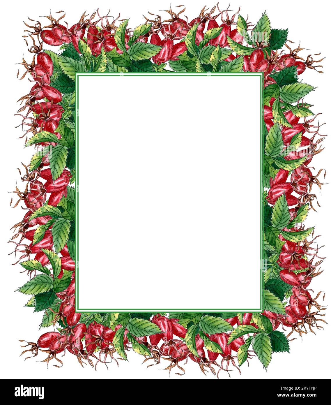 Square floral frame hi-res stock photography and images - Alamy