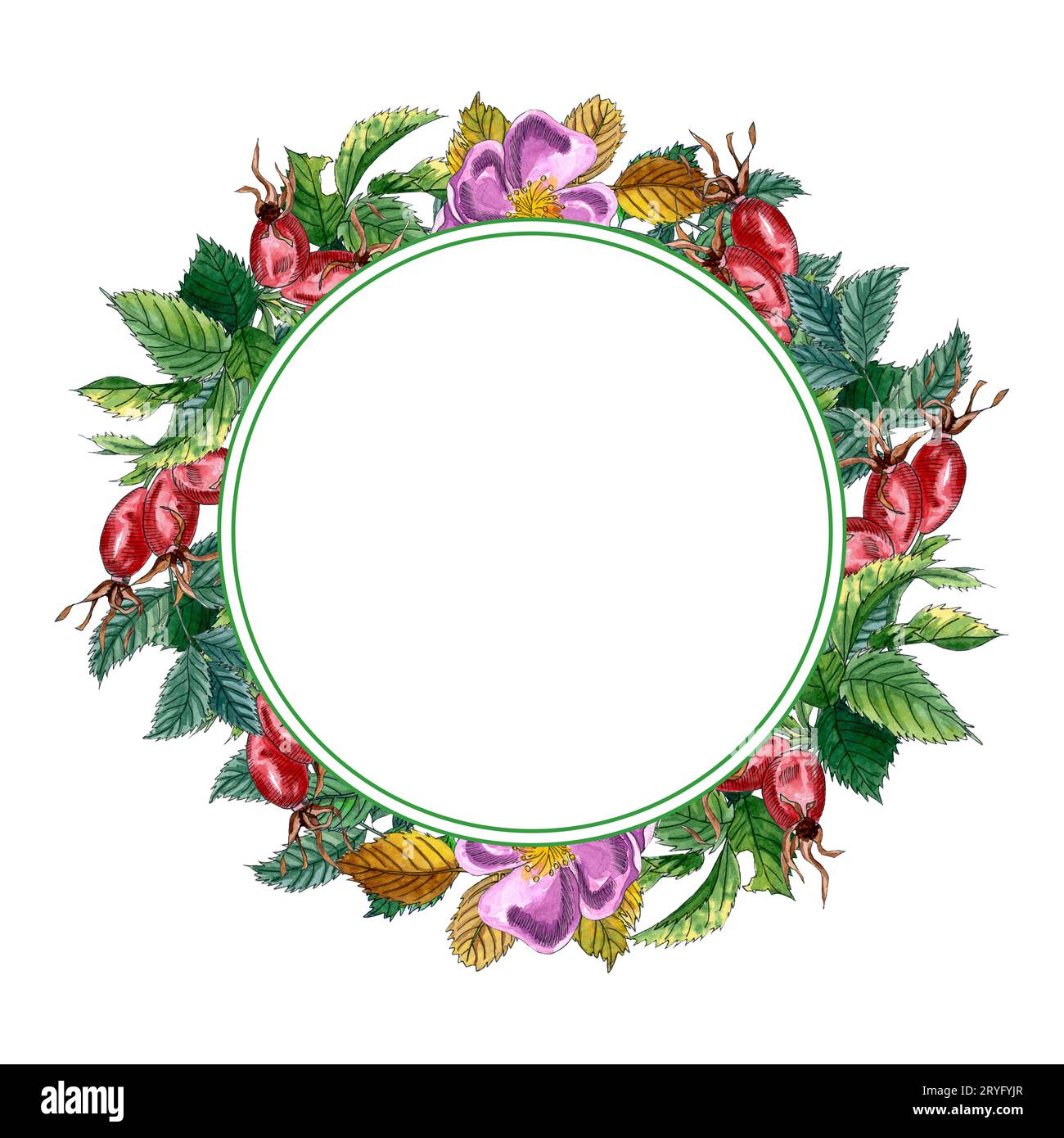 Berry branch round frame Cut Out Stock Images & Pictures - Alamy