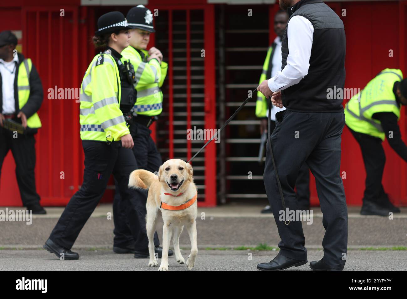 Smoke detection dog hi-res stock photography and images - Alamy