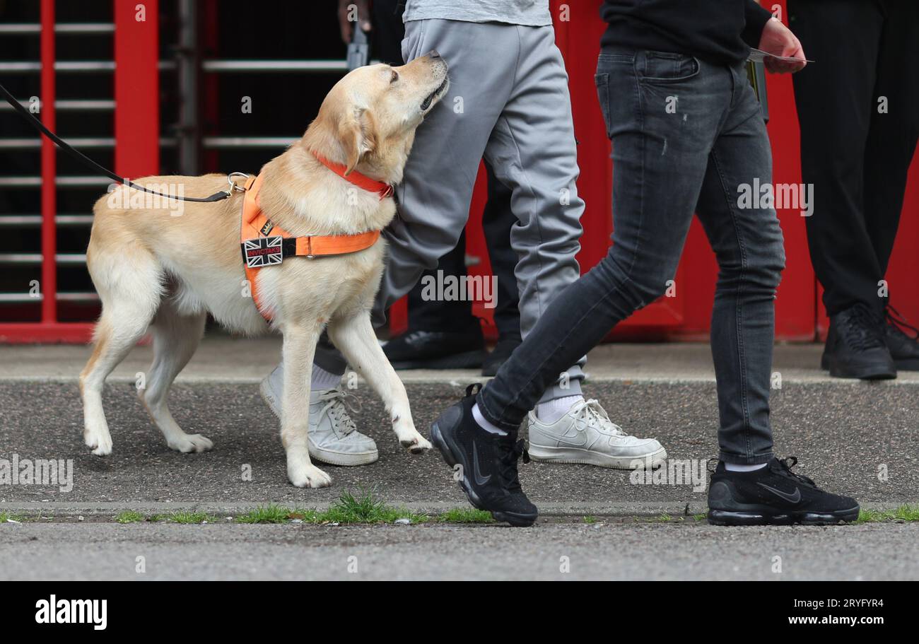 A Sniffer Dog working at the Broadfield Stadium prior to the EFL League ...