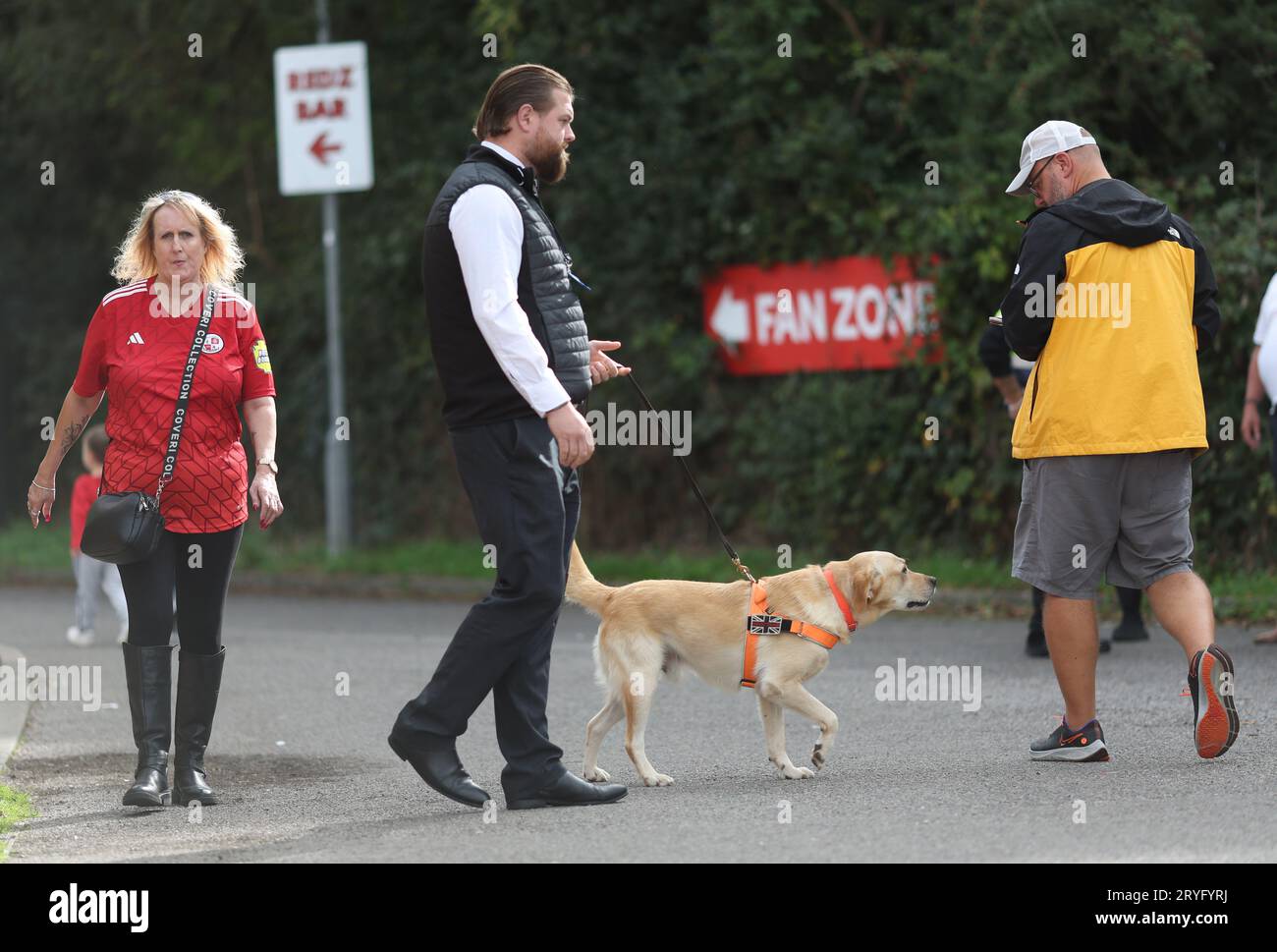 Smoke detection dog hi-res stock photography and images - Alamy
