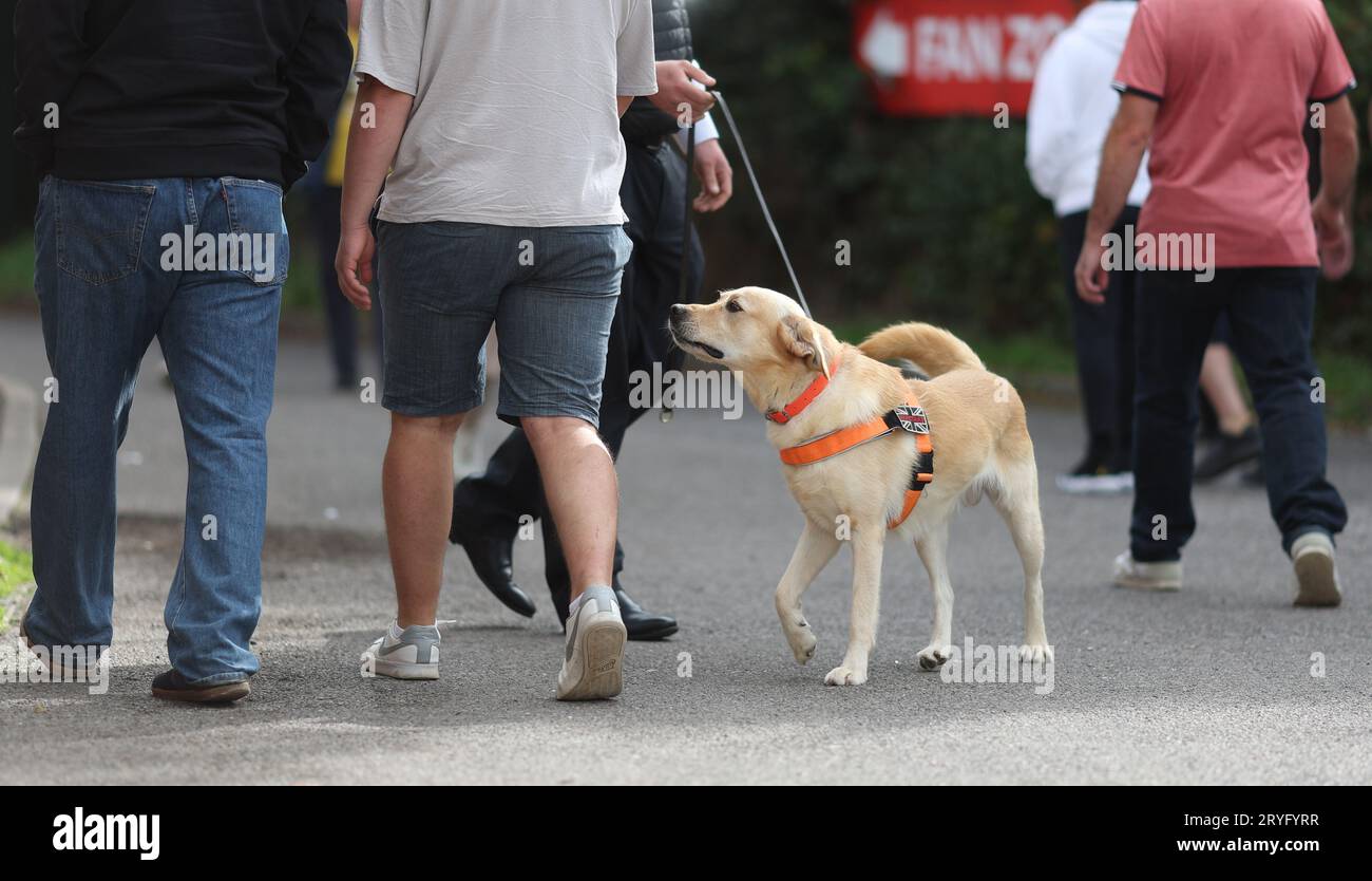 Smoke detection dog hi-res stock photography and images - Alamy
