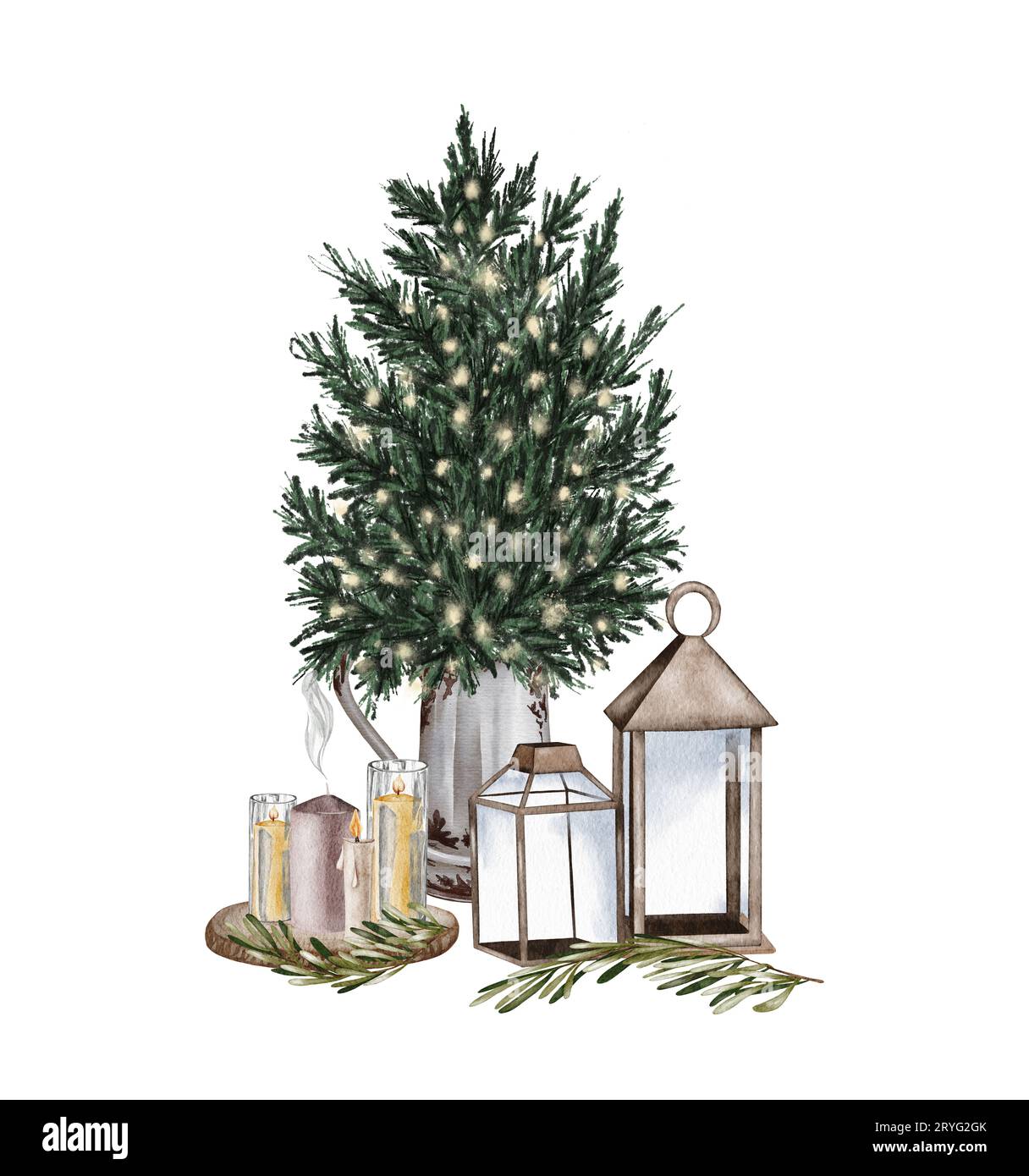 Evergreen pine tree in rustic pot with christmas lights,pine cone ...