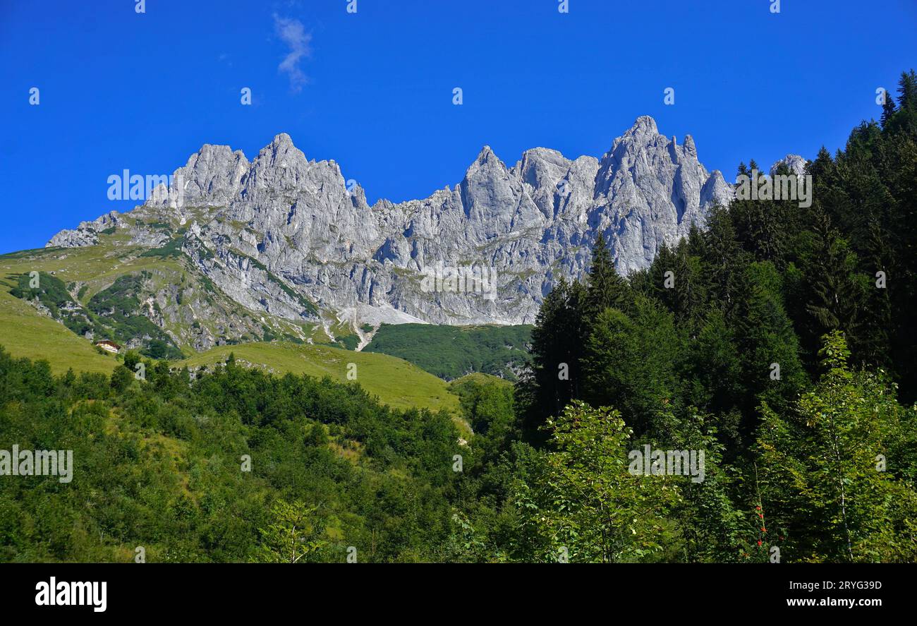 Wild emperor; Kaiser Mountains; Austria; Tyrol Stock Photo - Alamy