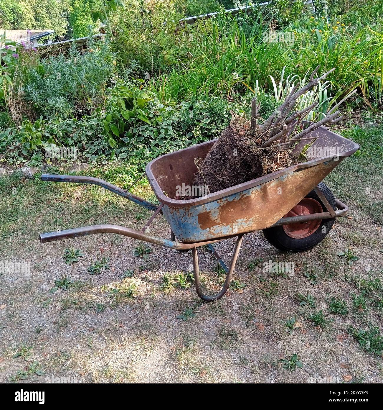 Wheelbarrow for transporting and moving carriage Stock Photo - Alamy