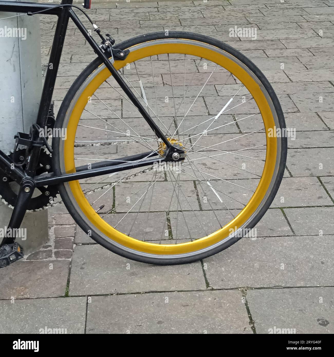 Driving and transport on a bicycle Stock Photo - Alamy