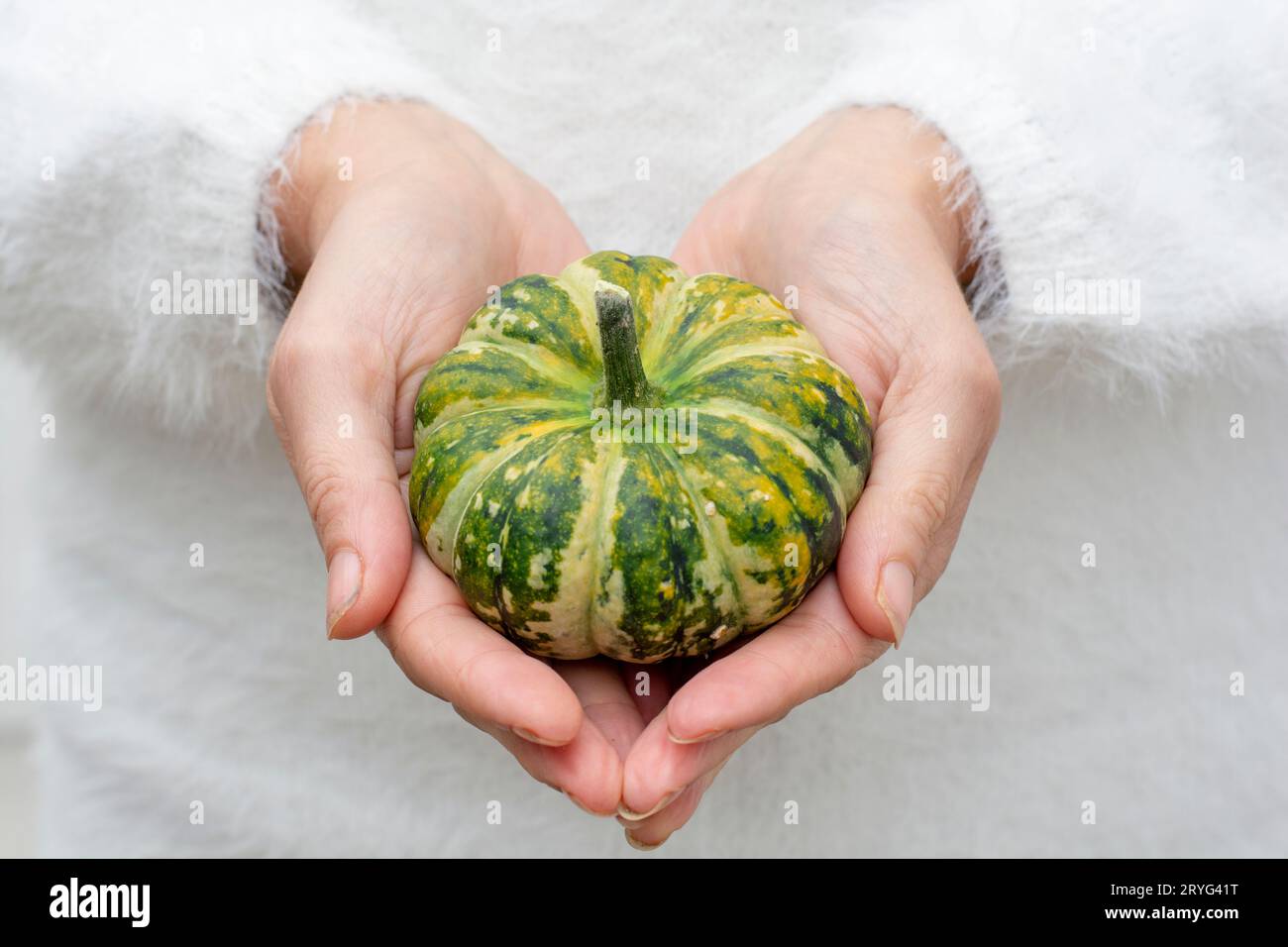 Unrecognizable woman holding single green decorative dwarf pumpkin in ...