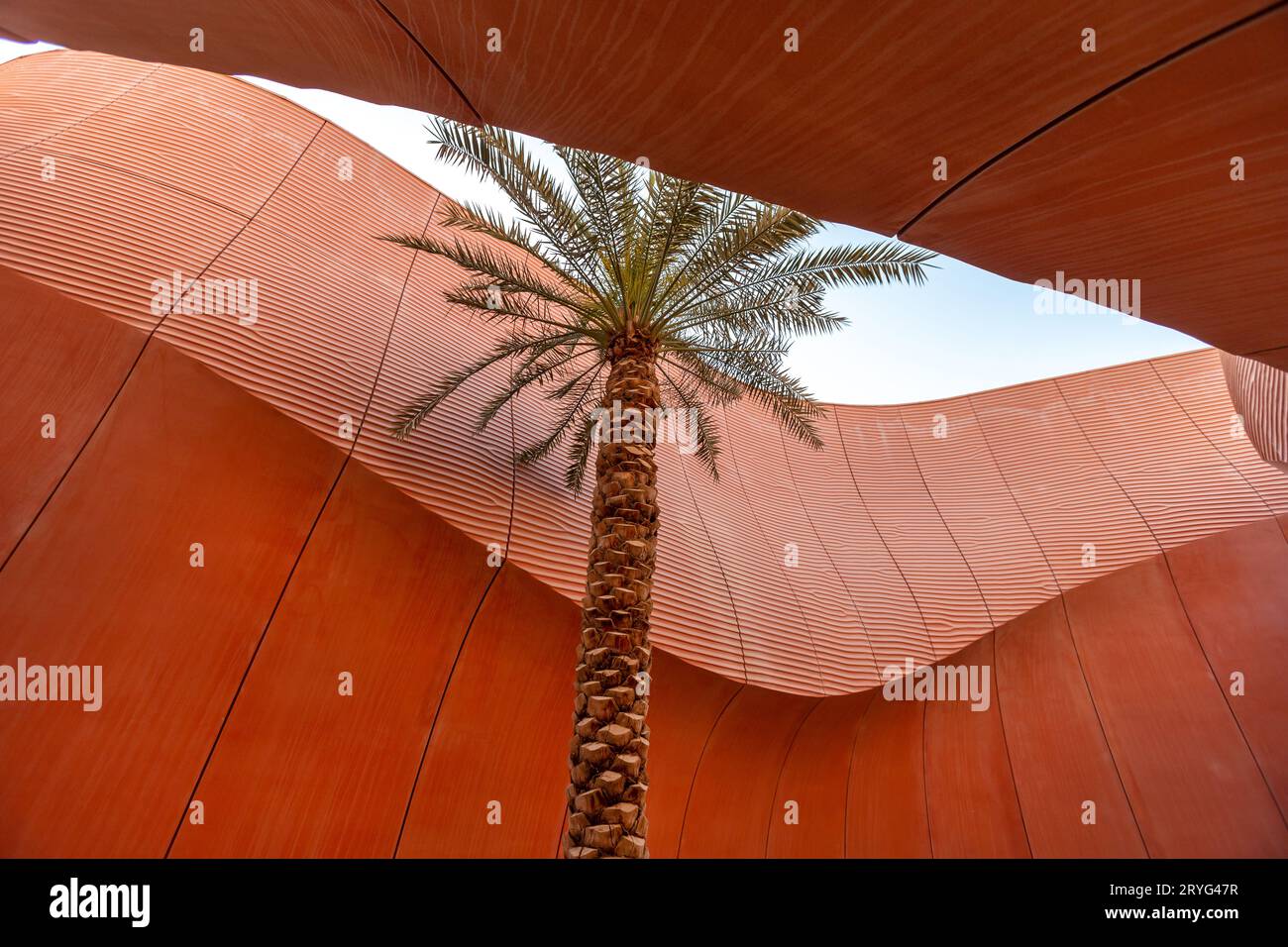 Palm tree in concrete structure in Masdar city, Abu Dhabi, UAE Stock ...
