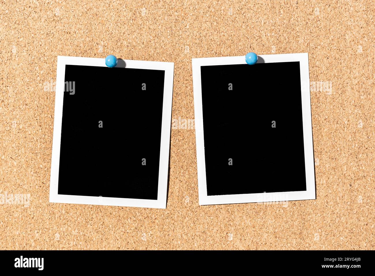 Two Blank Vintage instant photo frame pinned on corkboard. Template ...