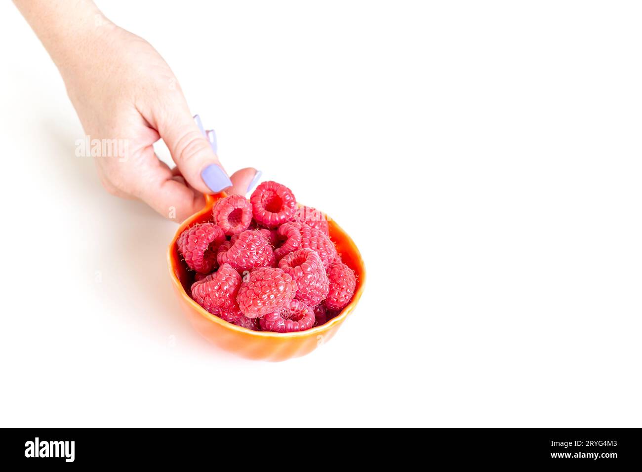 Female hand holding small bowl of fresh organic raspberries on white ...