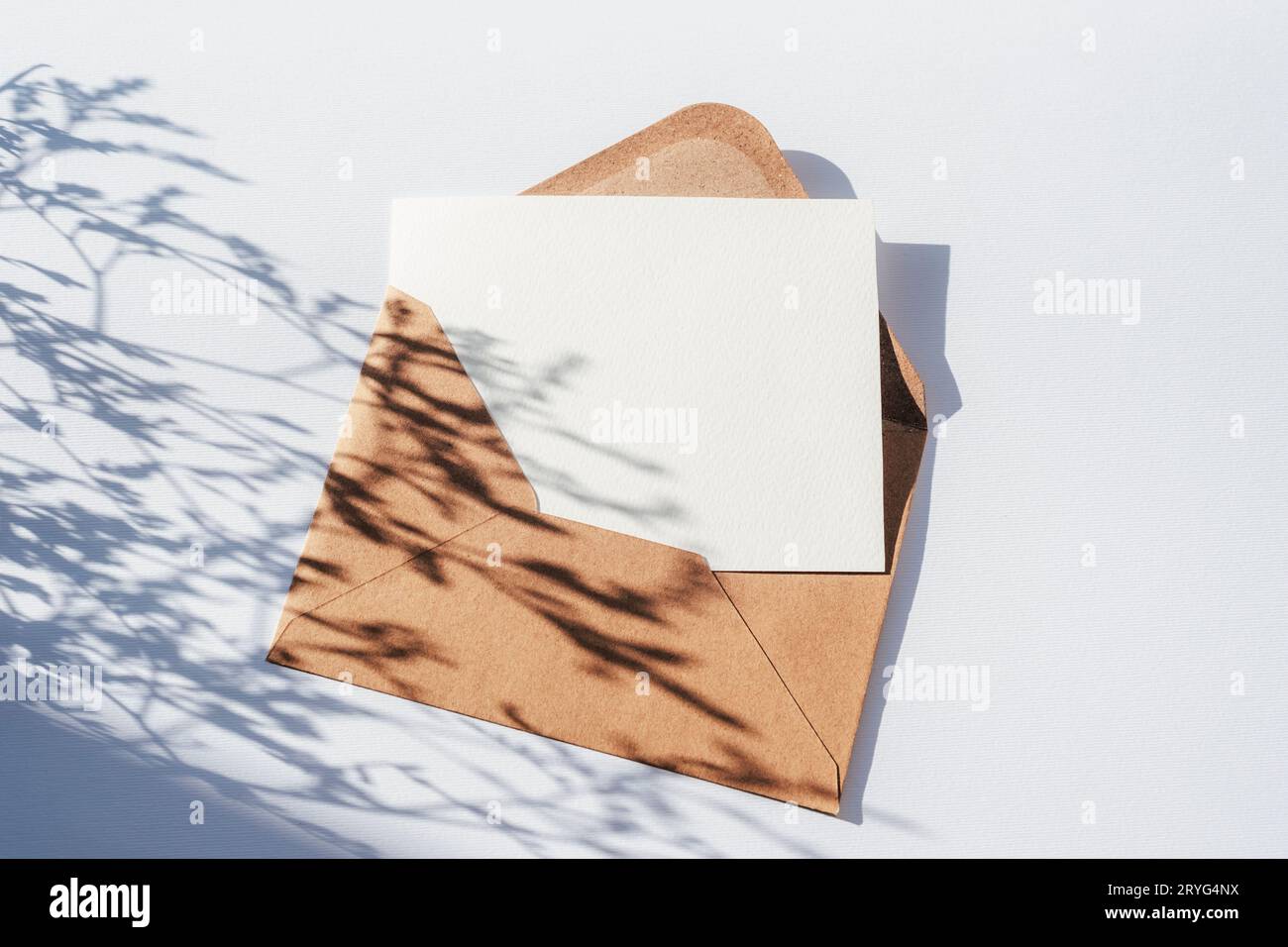 Envelope with blank card and flowers shadow on light blue background ...