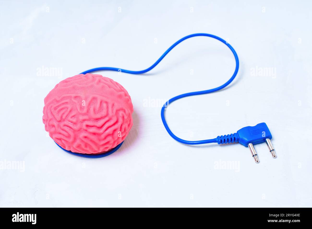 Close-up view of a human brain replica having a blue power plug ...