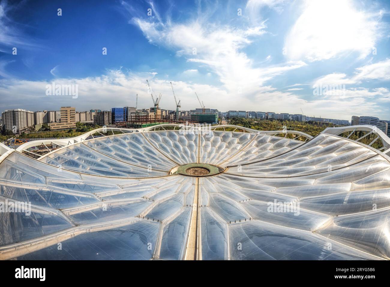 Triangular shaped flower hi-res stock photography and images - Alamy