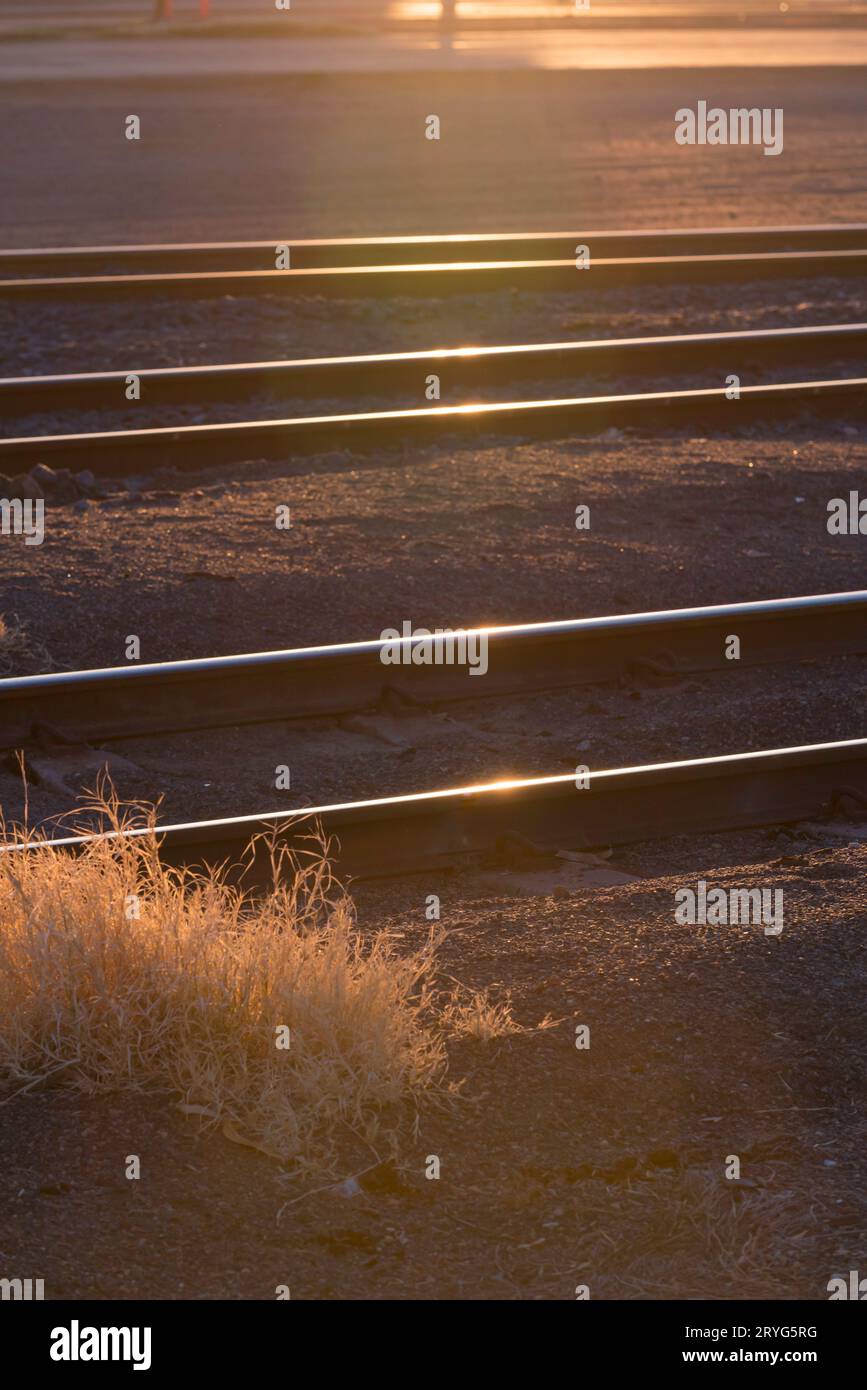 Railway or railroad tracks in the warm early morning sun of central ...
