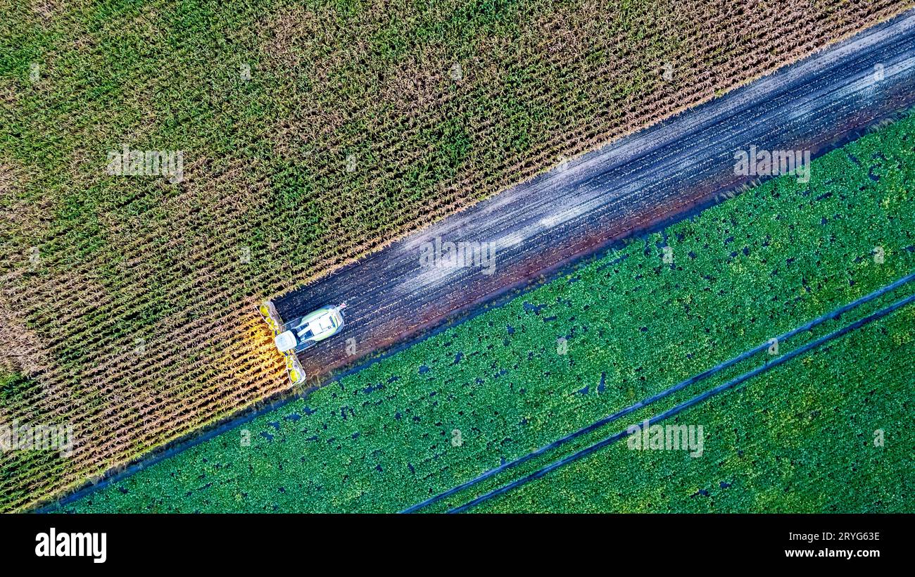 Aerial view on harvester corn hi-res stock photography and images - Alamy