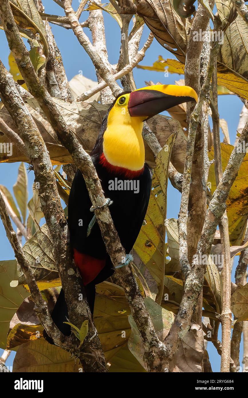 Dios te de hi-res stock photography and images - Alamy