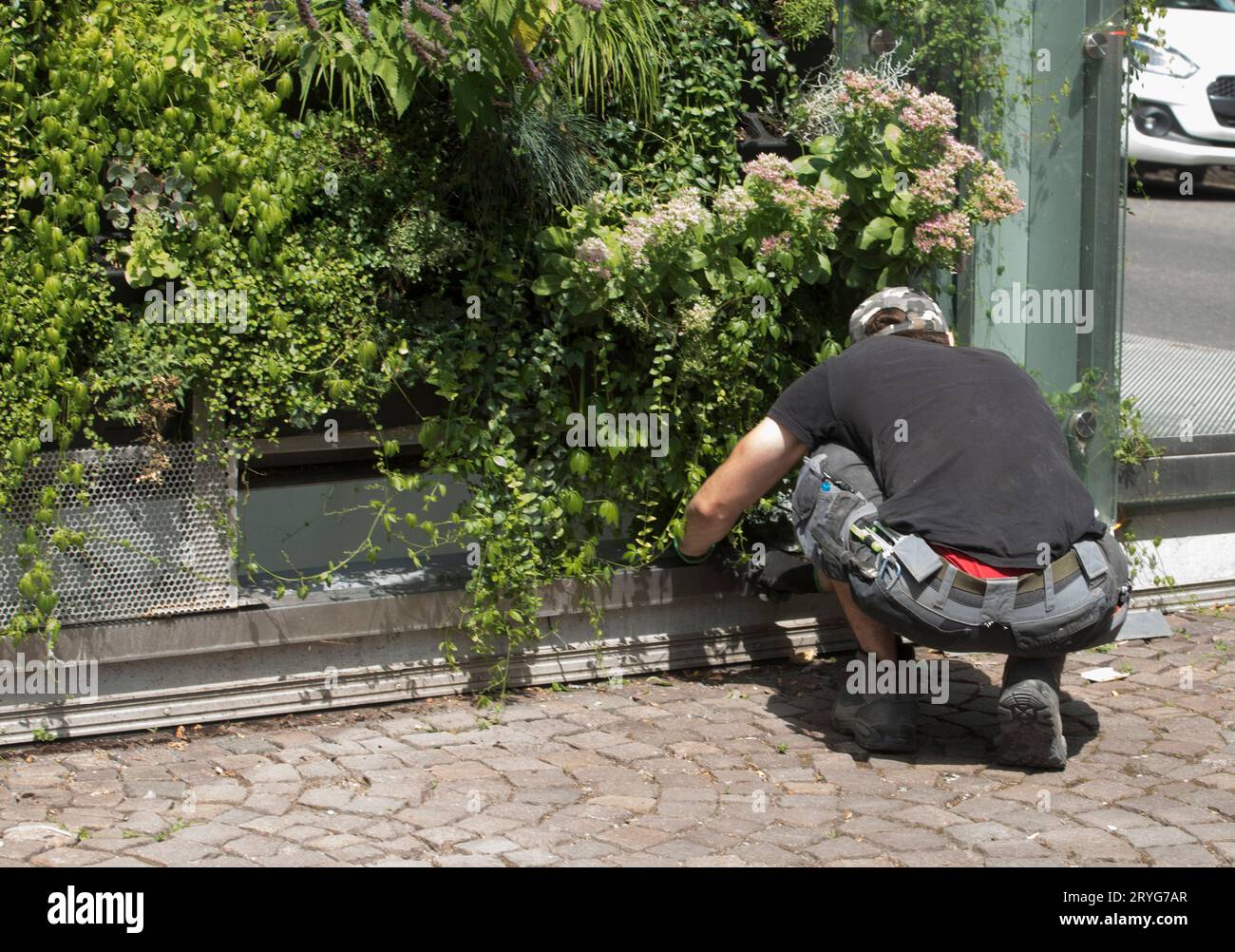 Outdoors in nature hi-res stock photography and images - Alamy