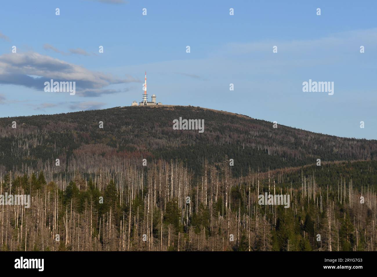 Radio tower and buildings on the Brocken mountain top under the blue sky and dense dead trees ...