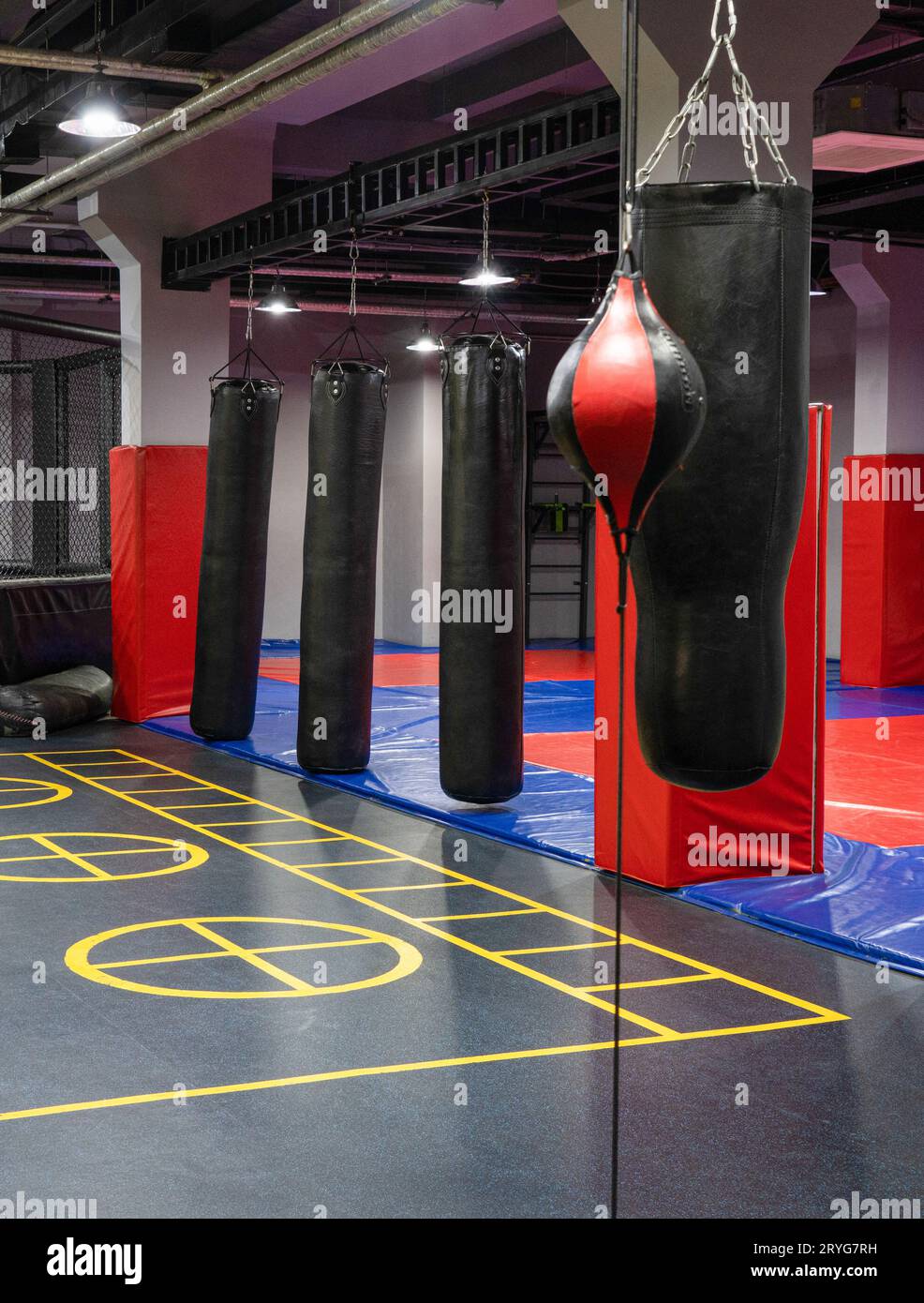 A vertical shot of boxing bags in the sports complex Stock Photo - Alamy