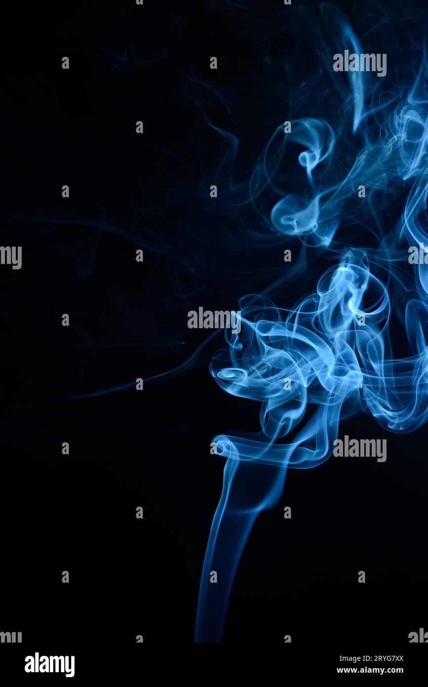 Closeup vertical shot blue hi-res stock photography and images - Alamy