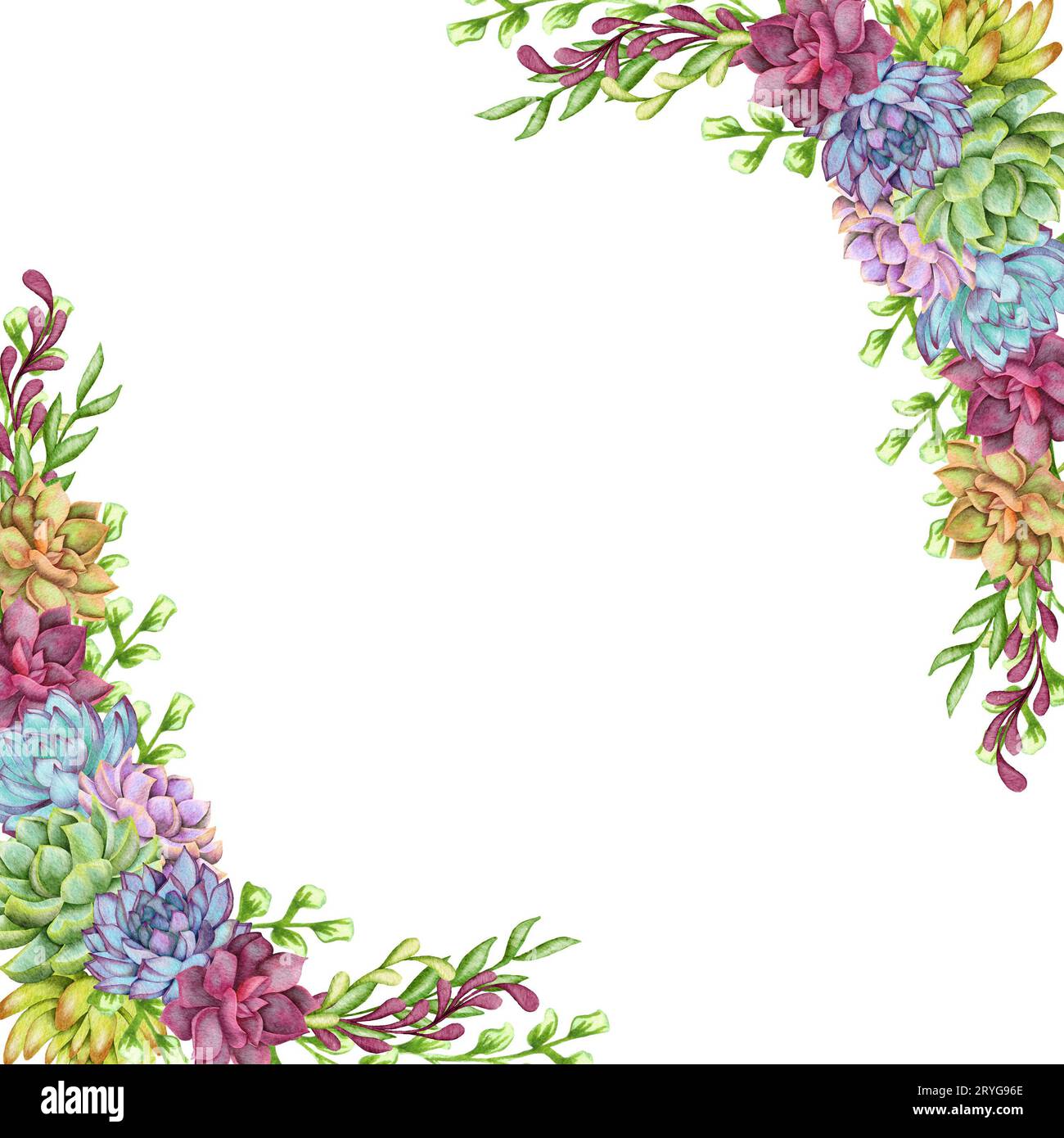 Greenery, succulent and branches frame border on white background ...