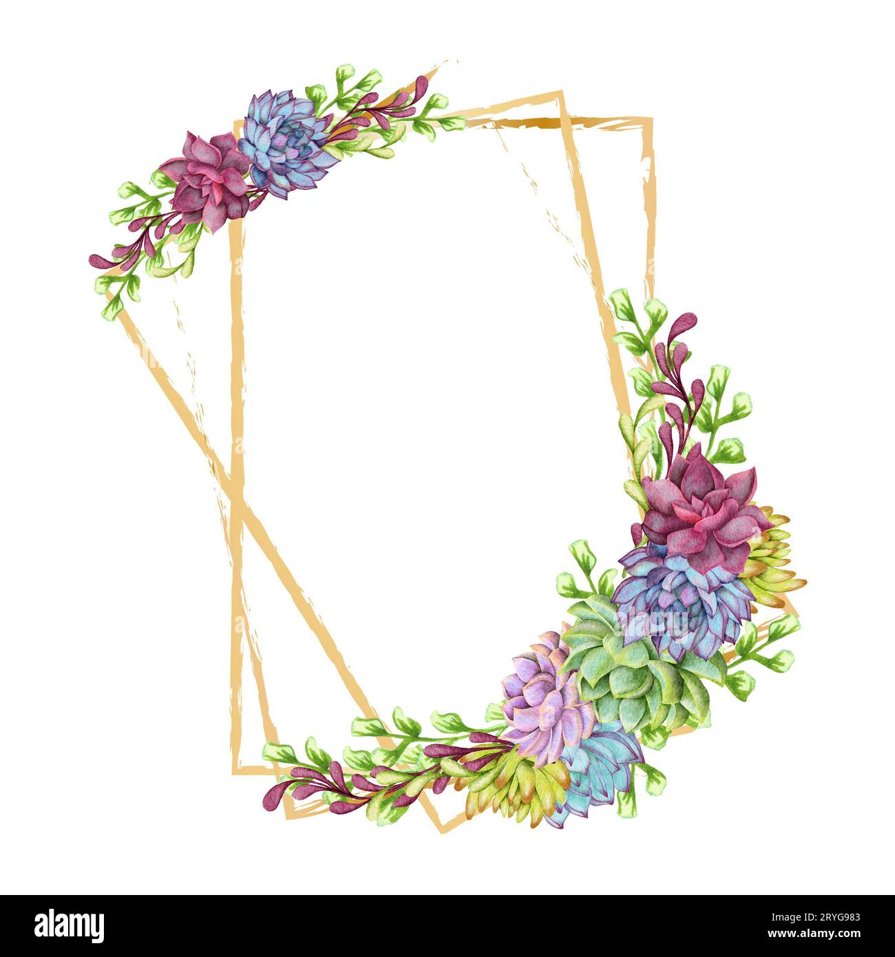 Greenery, succulent and branches frame border on white background ...