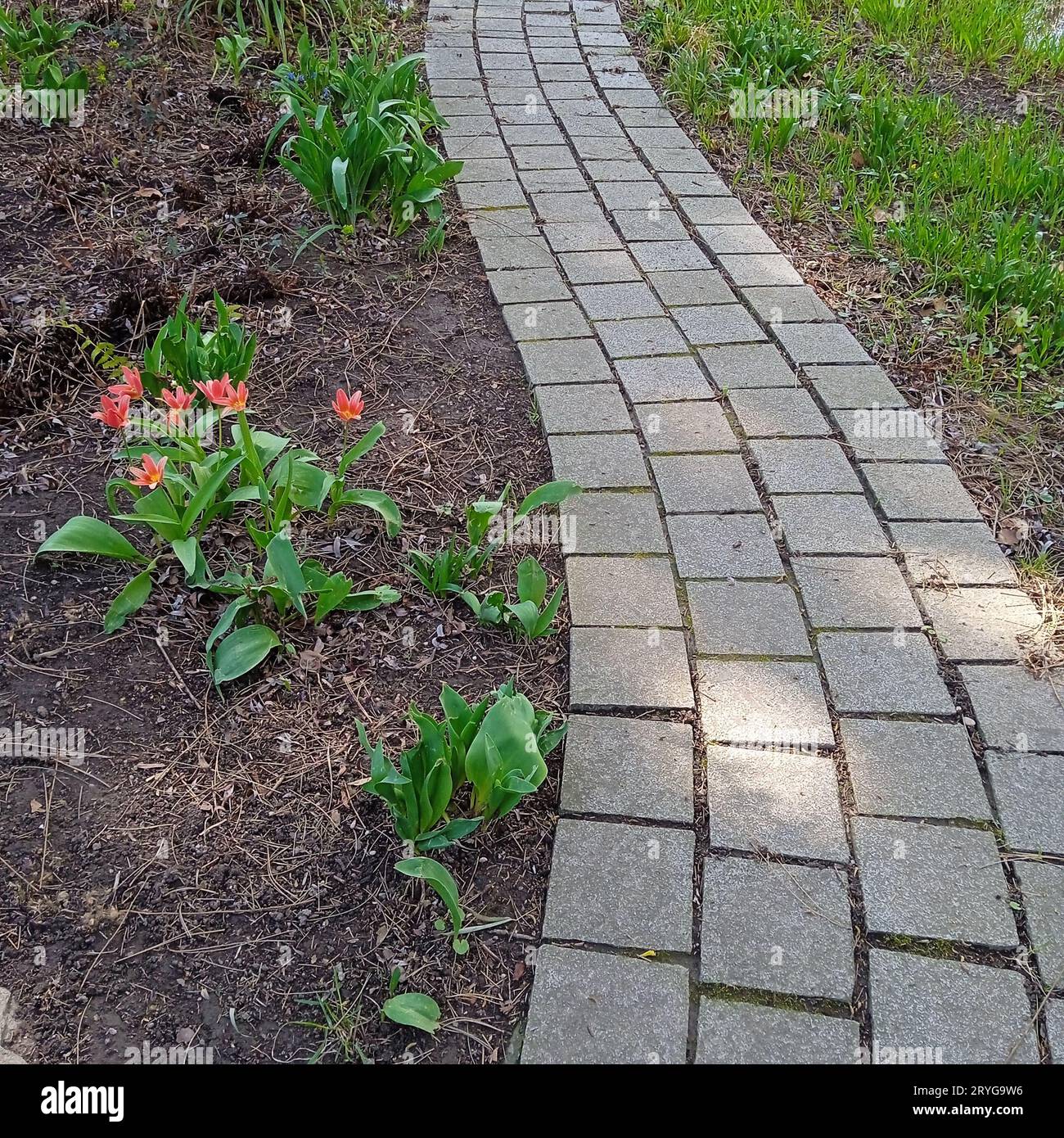 Bridle road hi-res stock photography and images - Alamy