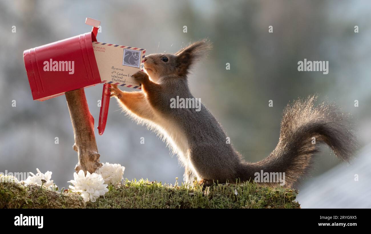 Funny letterbox hi-res stock photography and images - Alamy