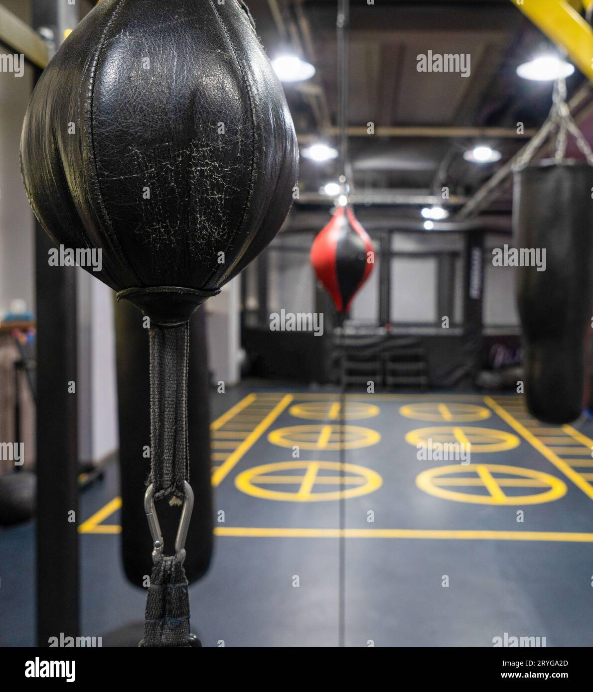 A vertical shot of boxing bags in the sports complex Stock Photo - Alamy