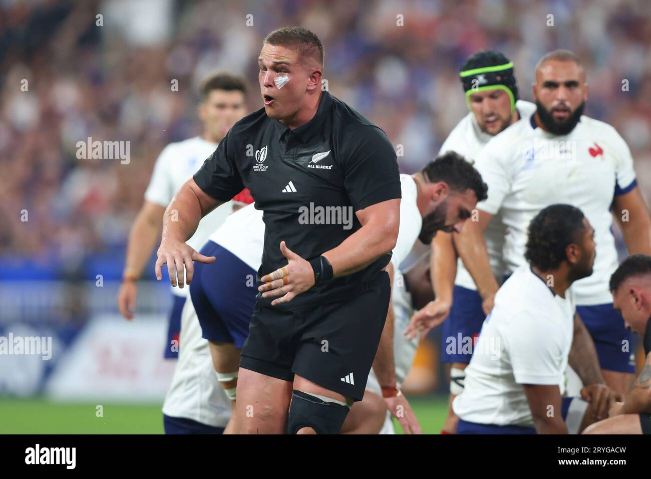 De groot v hi-res stock photography and images - Alamy