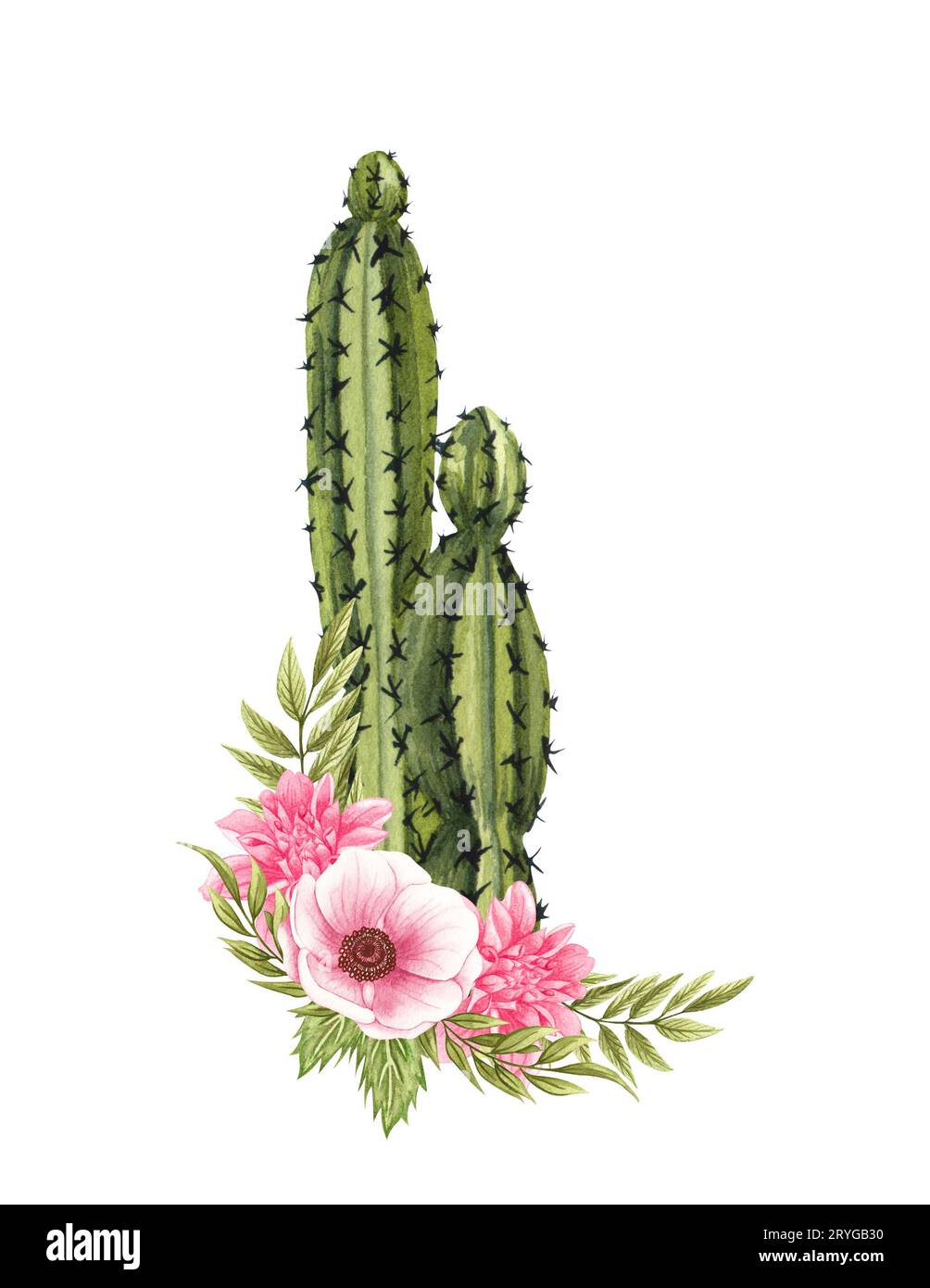 Watercolor floral cactus. Western cactus and flowers. Farmhouse rustic ...