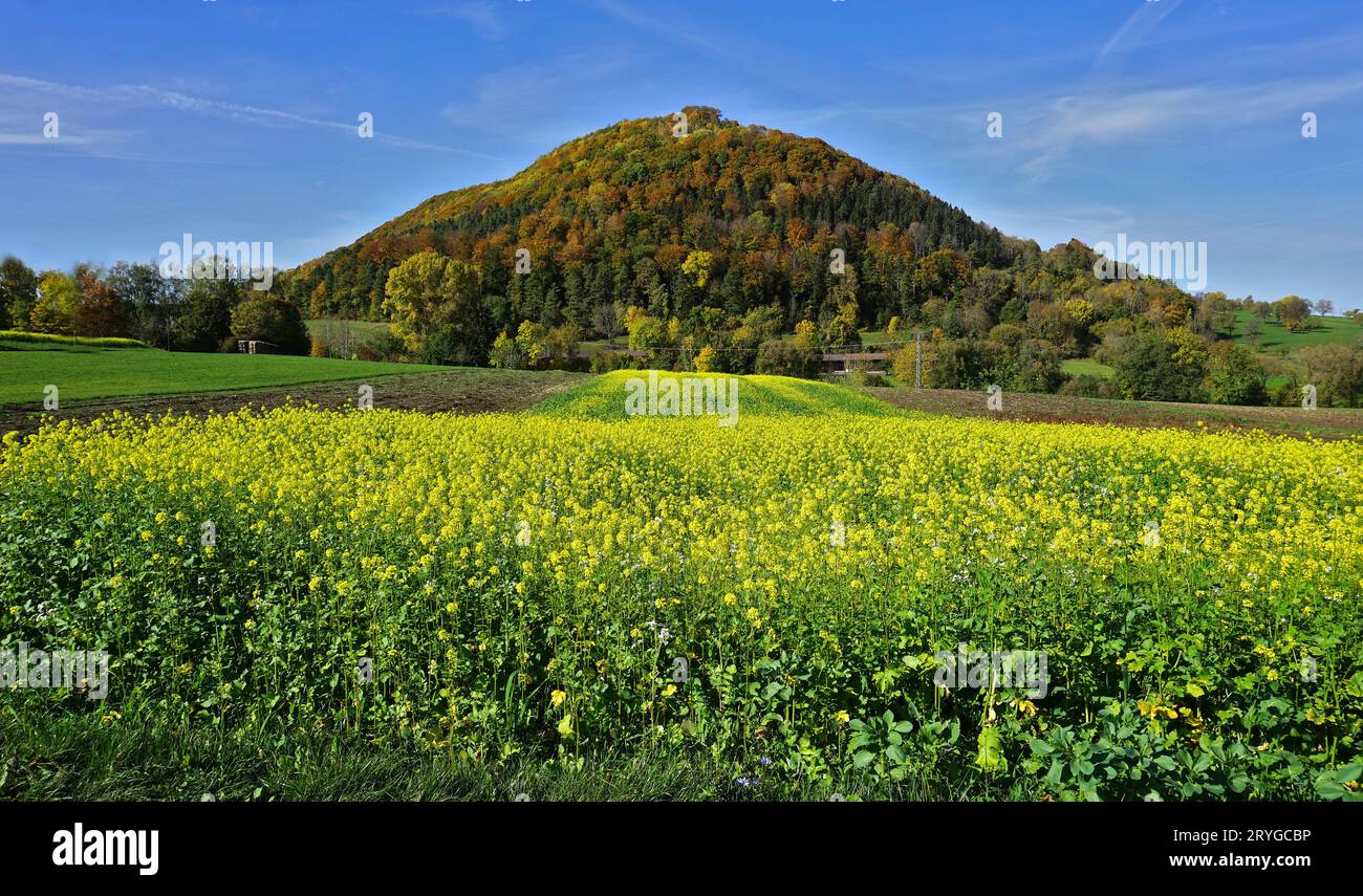 Ruine andeck hi-res stock photography and images - Alamy