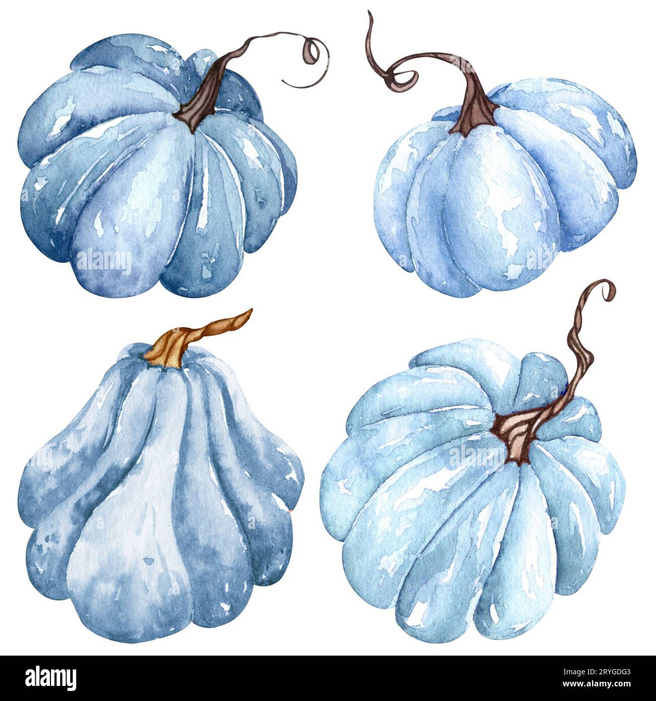 Blue and white floral design hi-res stock photography and images - Alamy