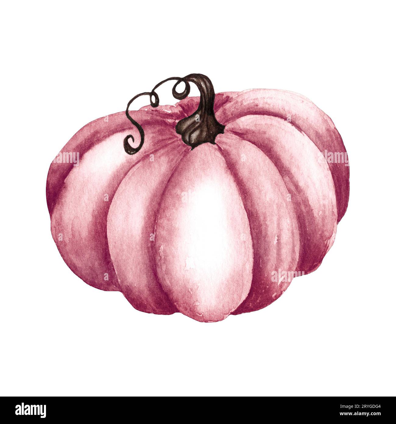 Watercolor pink pumpkin set, floral pumpkins, Halloween clipart, autumn ... Watercolor pink pumpkin set, floral pumpkins, Halloween clipart, autumn ...