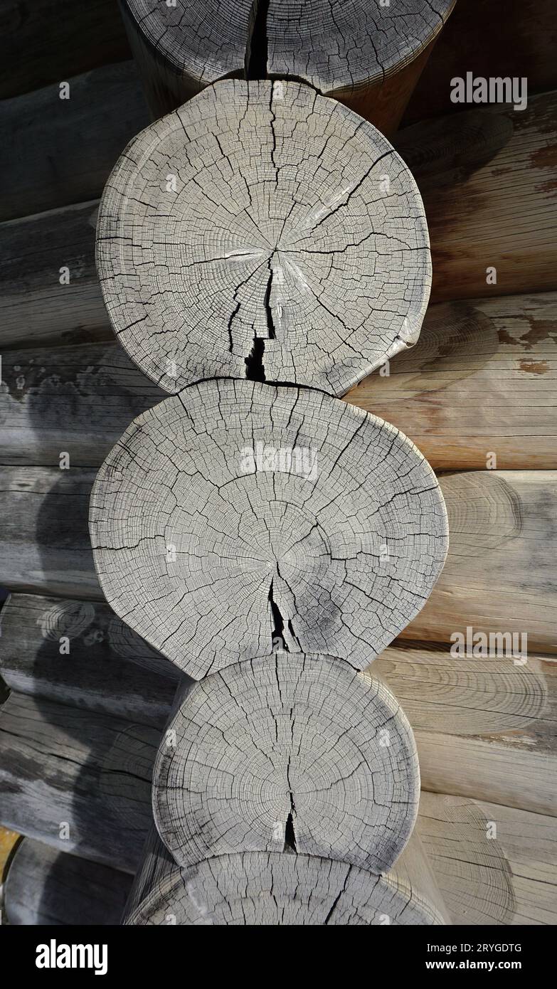 Logs built into a log house; growth rings; trunk cross section Stock ...