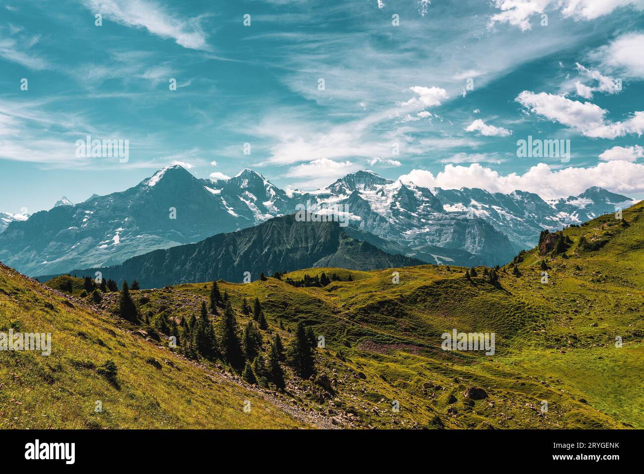 Tree mountains alps switzerland hi-res stock photography and images - Alamy