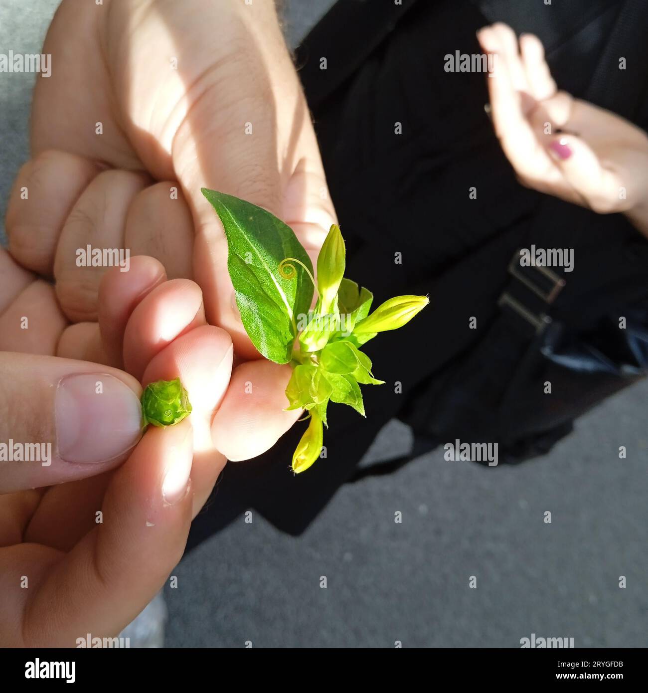 Covering earth hi-res stock photography and images - Alamy