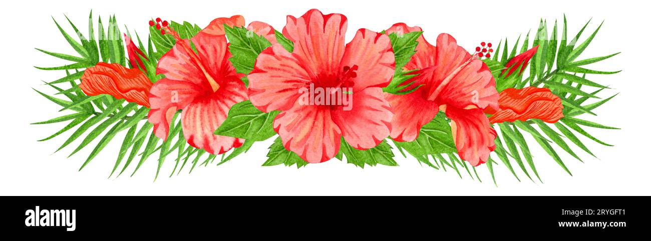 Watercolor composition with red hibiscus flowers. Handdrawn floral ...