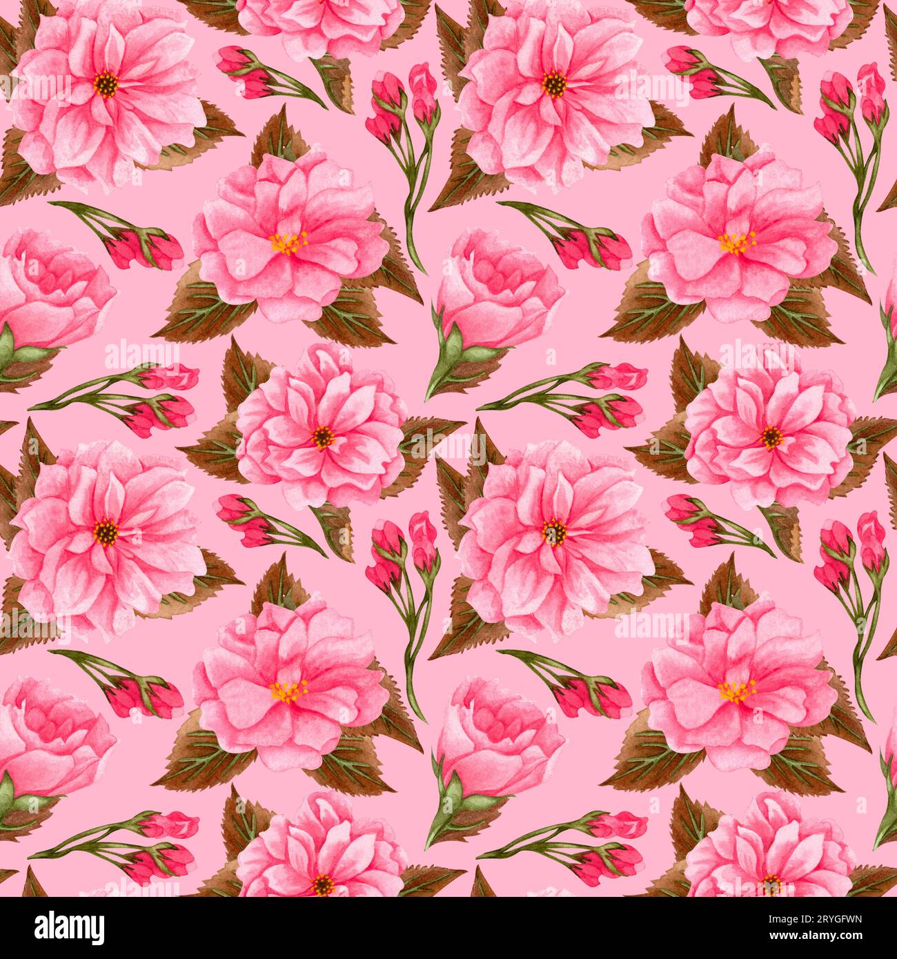 Watercolor cherry blossom, pink flowers and brown leaves. Floral ...